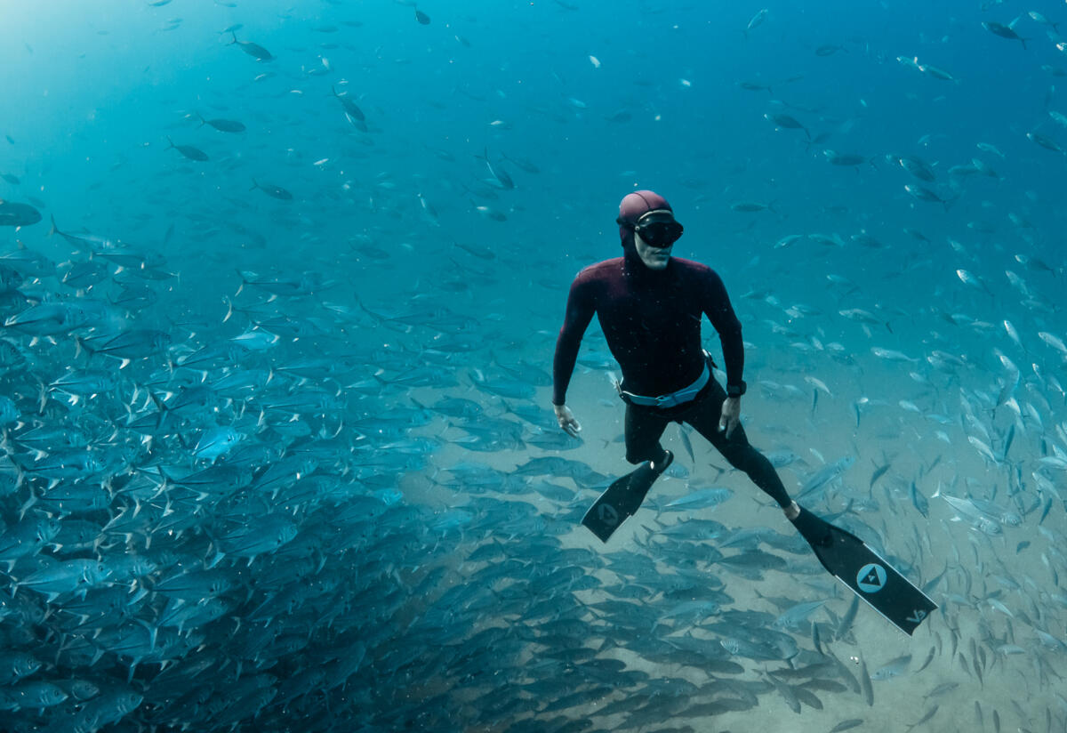 Carlos Coste Courses